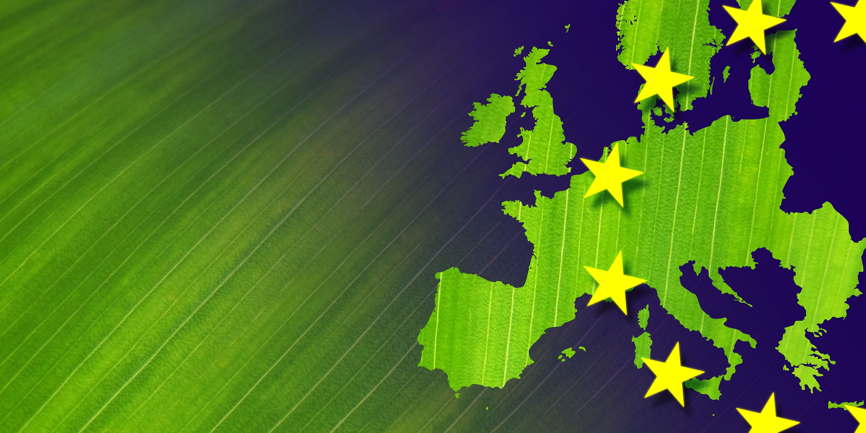 Why Europe’s “Green Deal” needs a successful digital transition ...