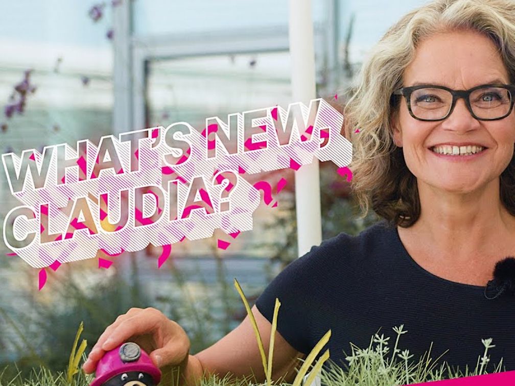 What’s new, Claudia? | Deutsche Telekom