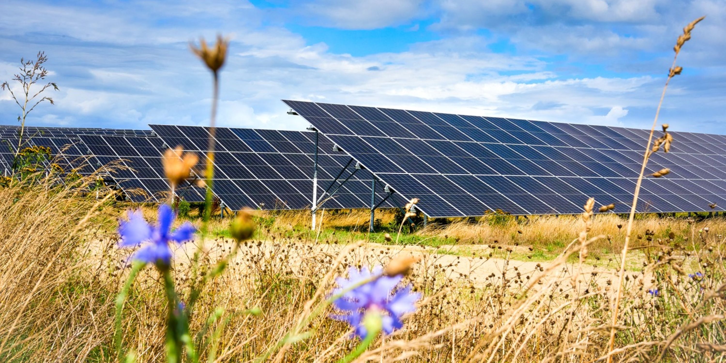 Kiran rathod leaked boobs not sure if that sounds right,