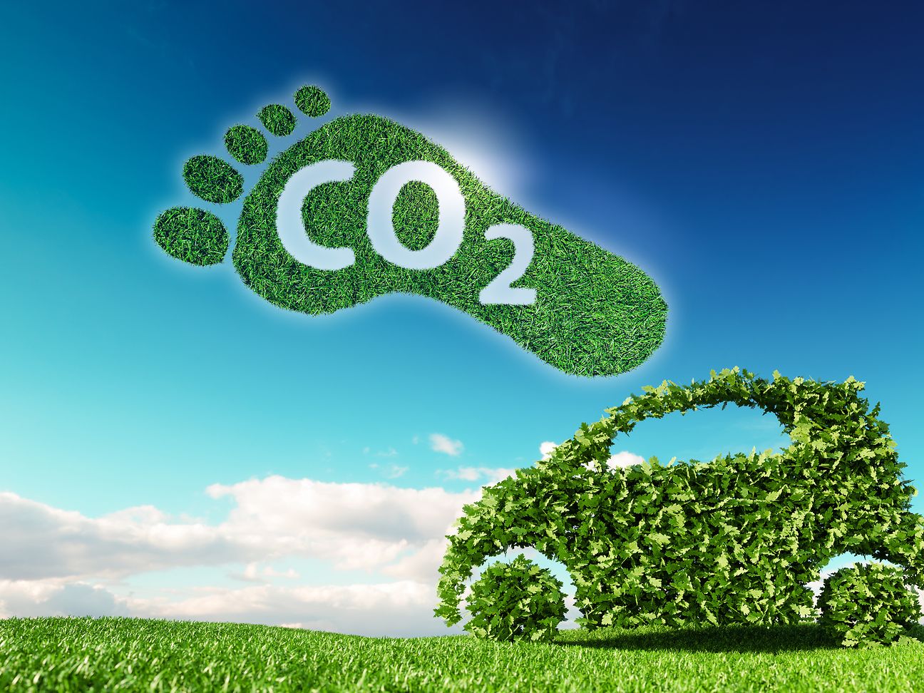 End-to-end solution for carbon footprint in the supply chain | Deutsche ...