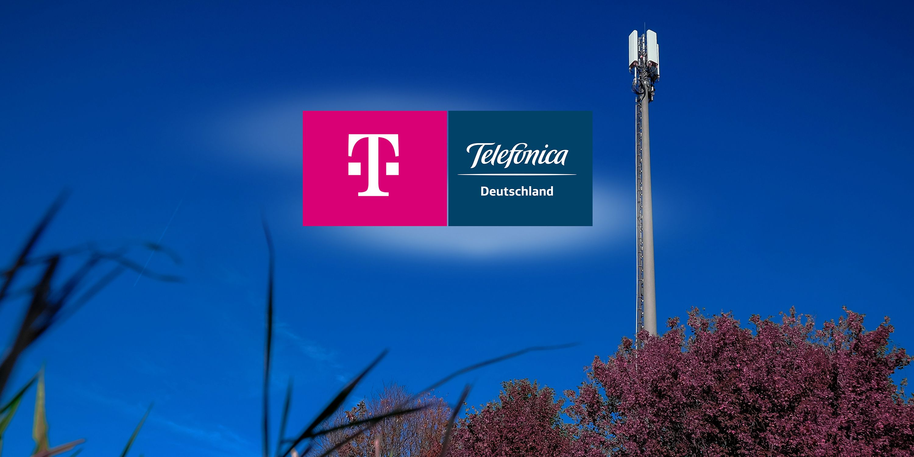 Deutsche Telekom and Telefónica share network infrastructure to enhance ...